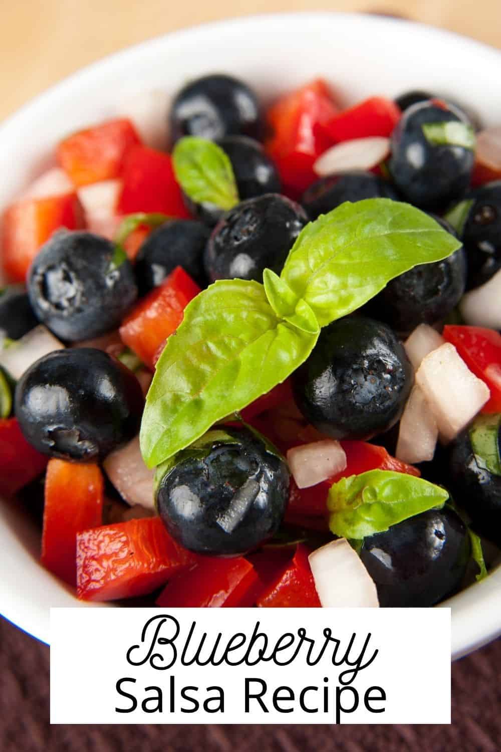 Fresh Blueberry Salsa Recipe - Turning the Clock Back
