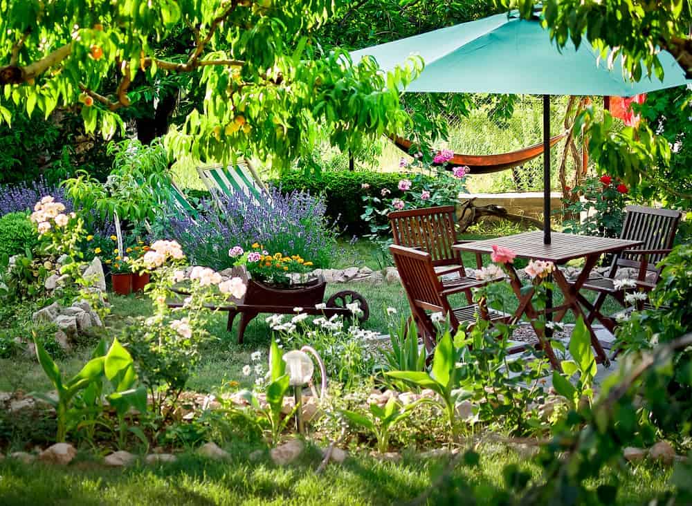 Backyard Design Ideas That are Good for the Planet
