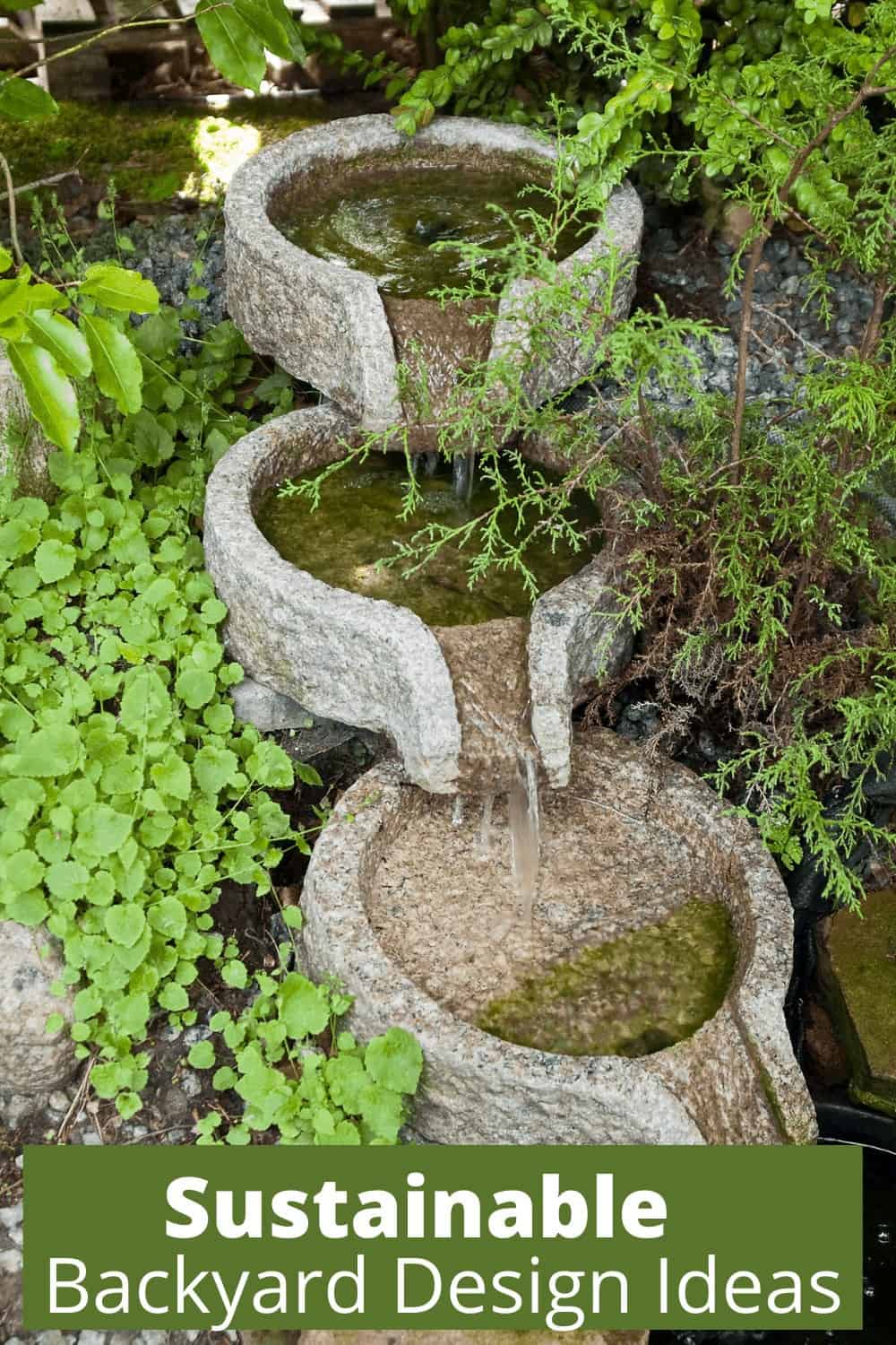 Backyard Design Ideas That are Good for the Planet