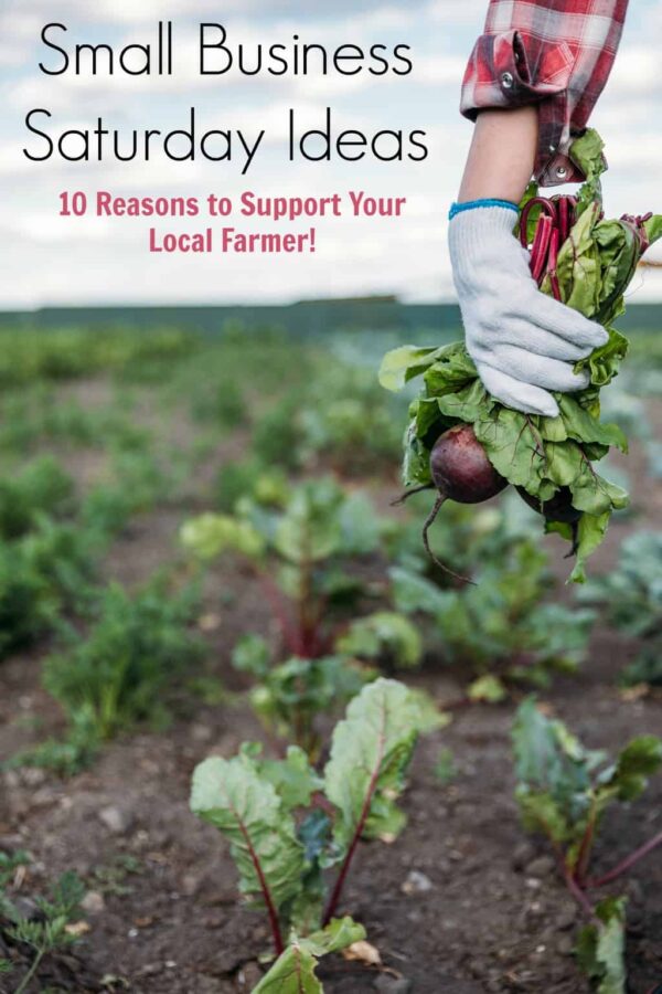Small Business Saturday Ideas: 10 Reasons to Support Your Local Farmer