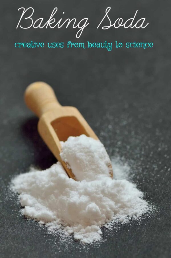 Arm and Hammer Baking Soda Uses - Turning the Clock Back
