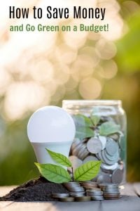 How to Save Money So You Can Go Green! - Turning the Clock Back