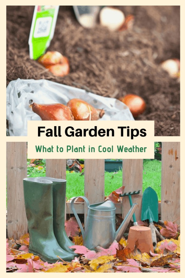 Fall Gardening Tips and Putting a Garden to Bed - Turning the Clock Back