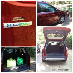 A Green Blogger and her Ford Escape - Turning the Clock Back