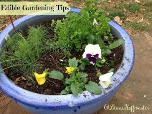Edible Gardening Tips and Food Scaping Ideas