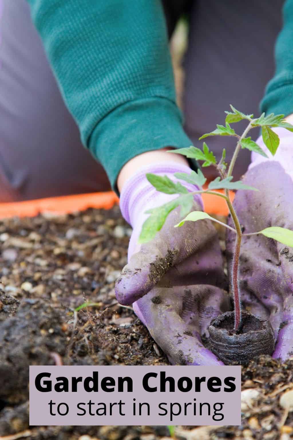 Spring Garden Chores to Give Your Garden a Boost