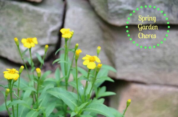 Spring Garden Chores to Give Your Garden a Boost