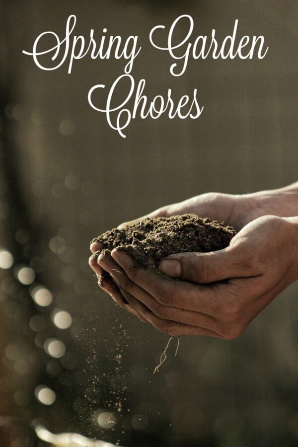 Spring Garden Chores to Give Your Garden a Boost