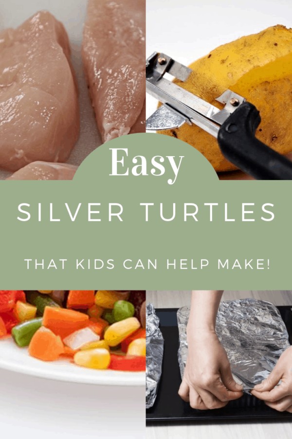 How to Make Silver Turtles - Turning the Clock Back