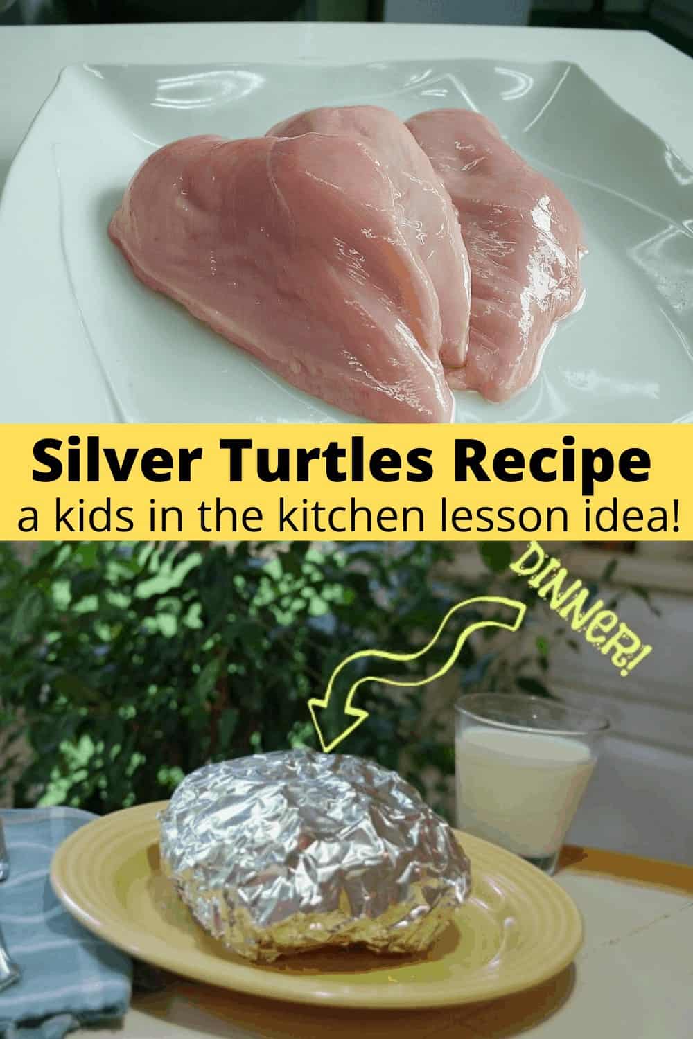 How to Make Silver Turtles - Turning the Clock Back