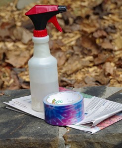 DIY Earwig Trap for Your Garden - Turning the Clock Back