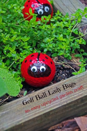 Golf Ball Lady Bug Craft Idea - Turning the Clock Back