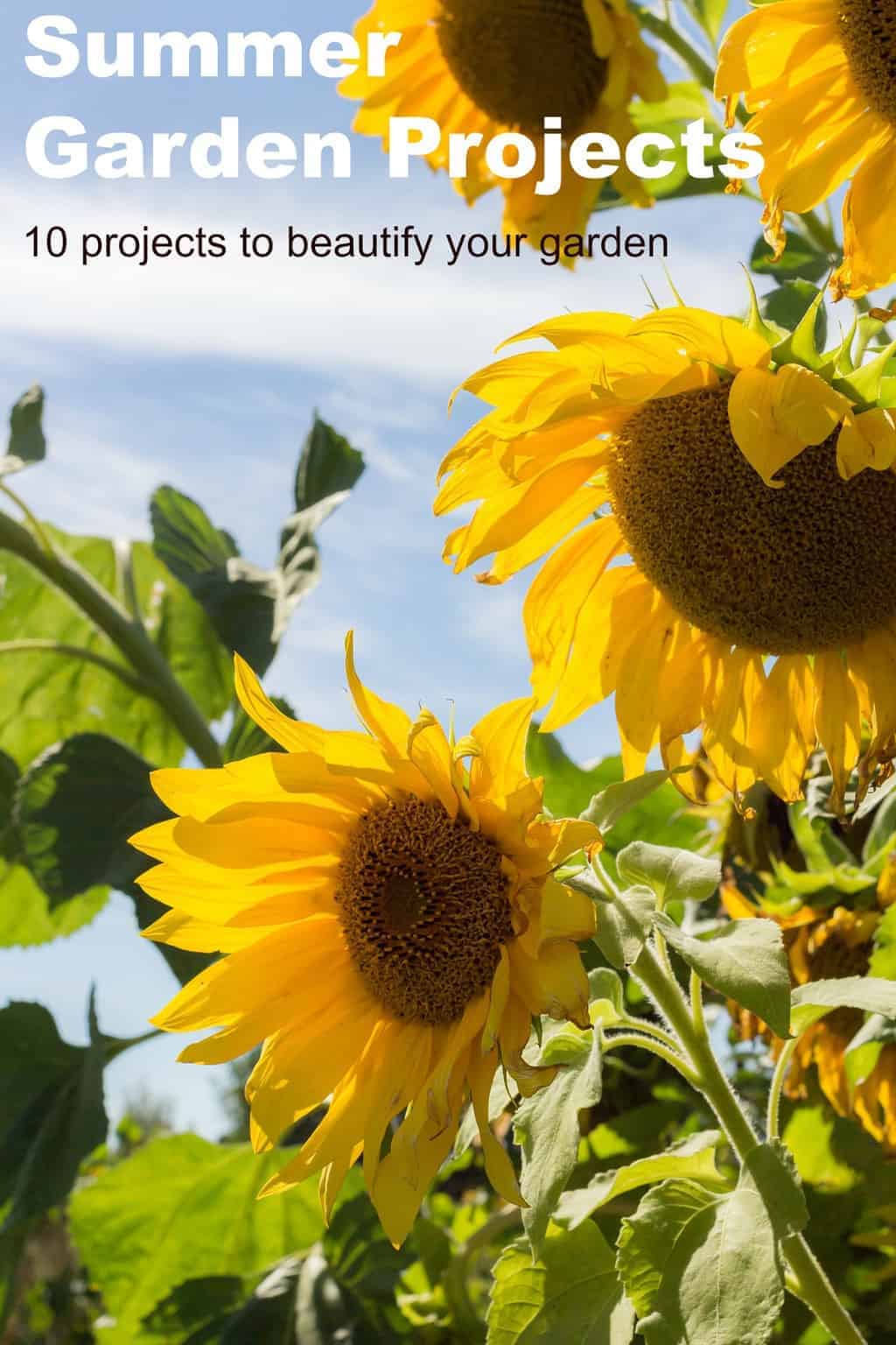 Summer Garden Projects - Turning the Clock Back