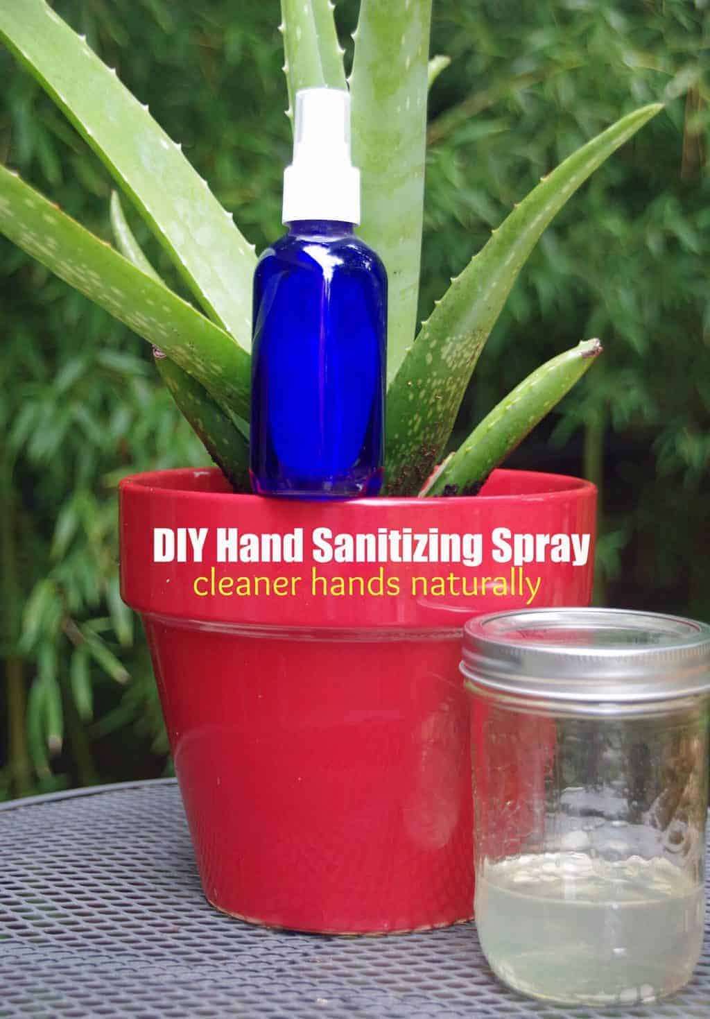 DIY Hand Sanitizer Spray with Aloe and Essential Oils