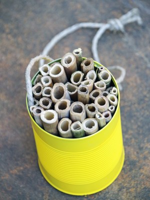 DIY Mason Bee House to Help Save Pollinators - Turning the Clock Back