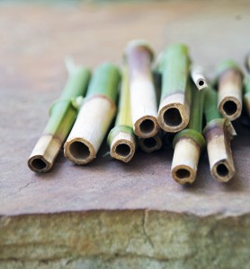 DIY Mason Bee House to Help Save Pollinators - Turning the Clock Back