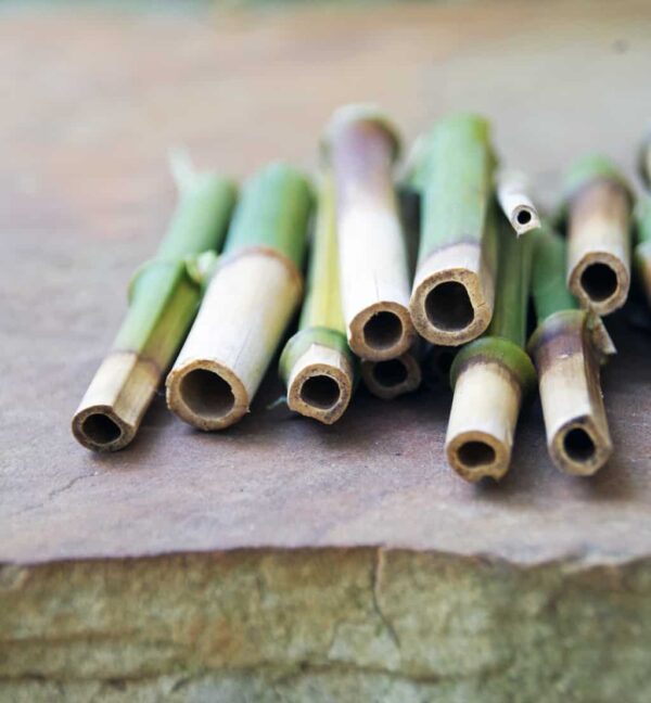 DIY Mason Bee House to Help Save Pollinators - Turning the Clock Back