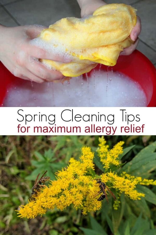 Cleaning Tips for Surviving Spring Allergies - Turning the Clock Back