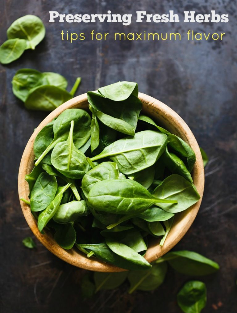 How to Preserve Fresh Herbs - Turning the Clock Back