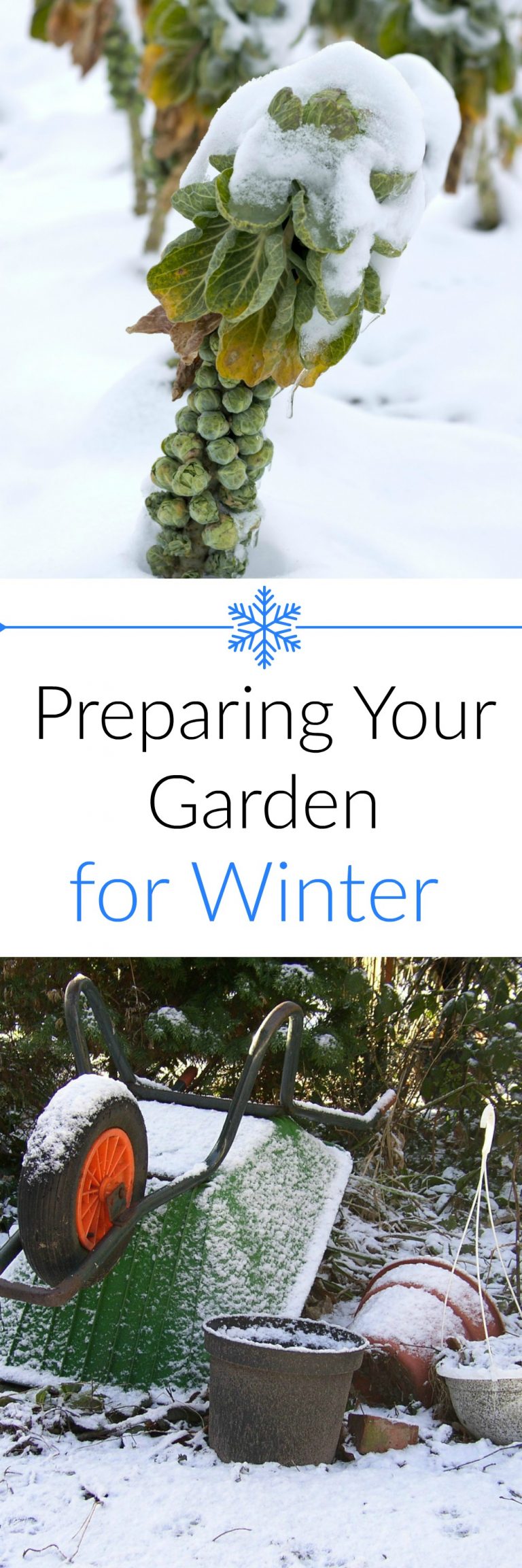 How to Prepare Your Garden for Winter - Turning the Clock Back