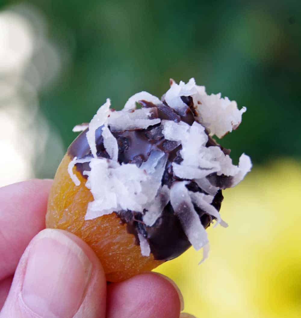 Chocolate Dipped Apricots Recipe for a Healthy Dessert - Turning the ...