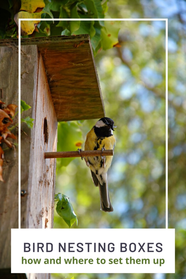 Tips for Adding Wild Bird Nesting Boxes to Your Yard - Turning the ...