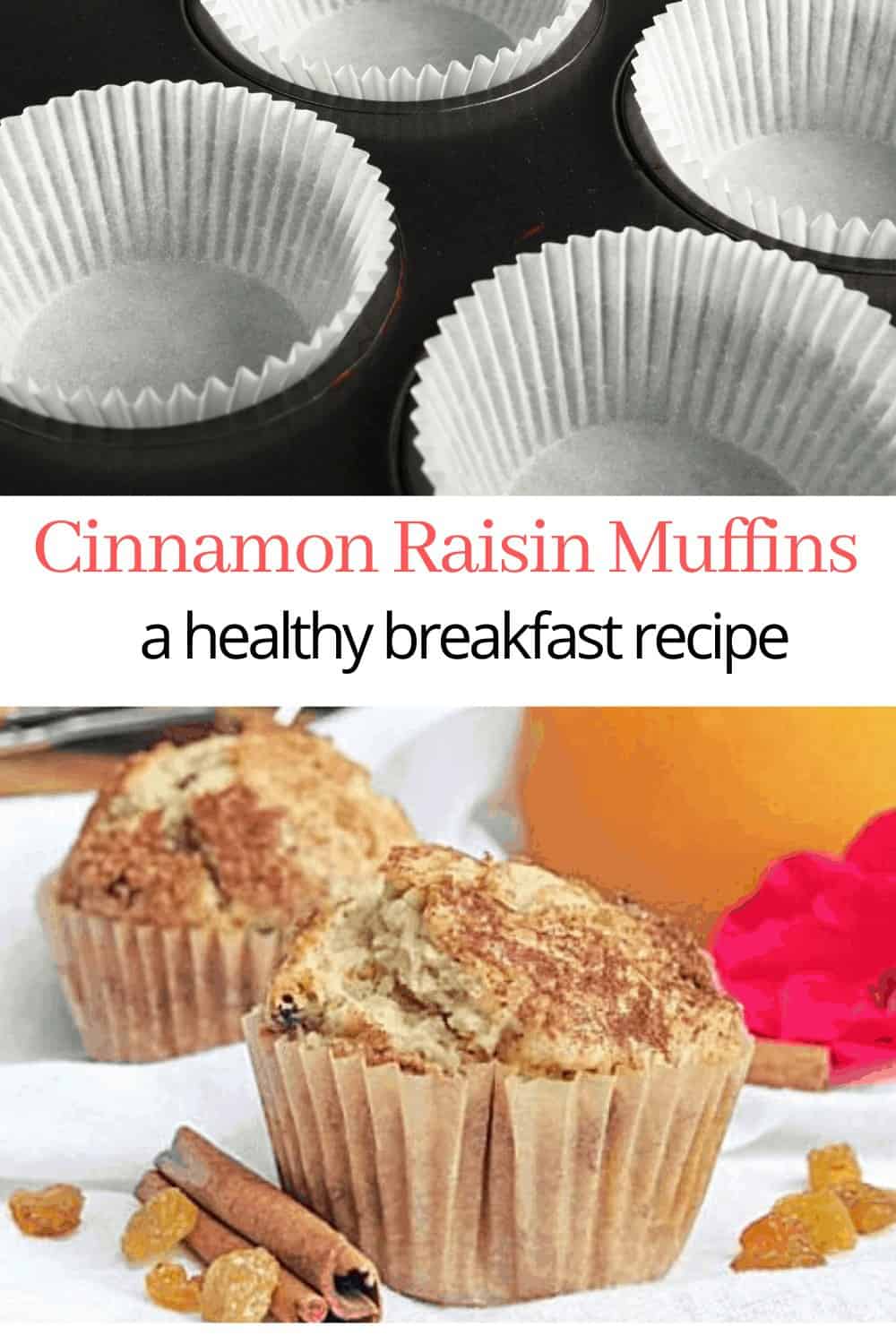 Cinnamon Raisin Muffin Recipe - Turning the Clock Back