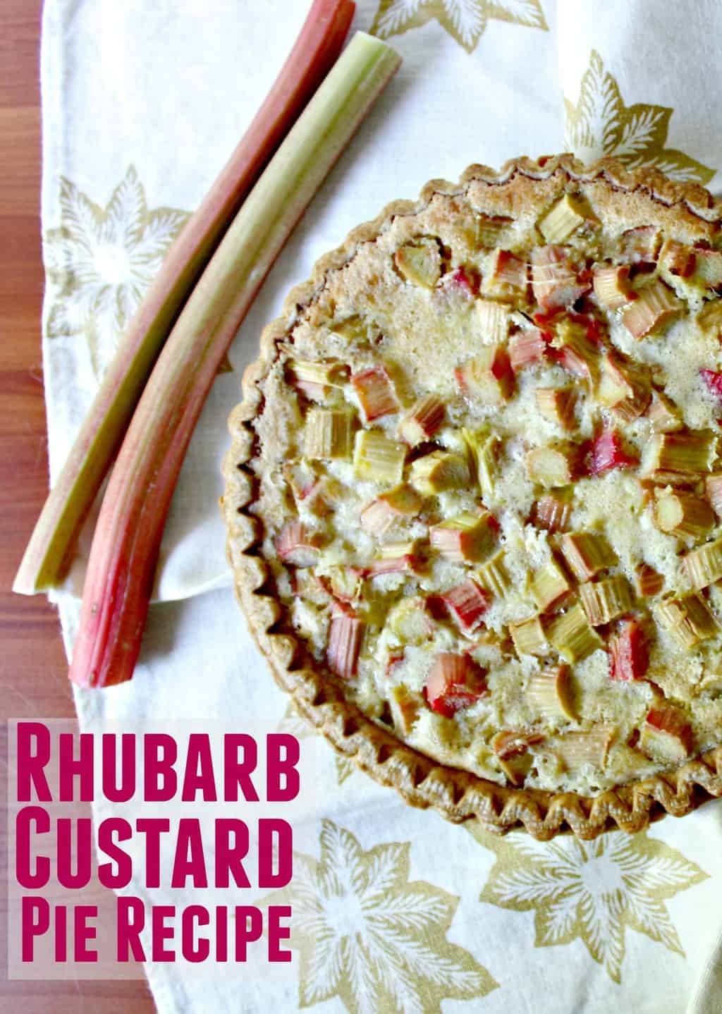 How to Freeze Rhubarb Easy Rhubarb Recipes - Turning the Clock Back