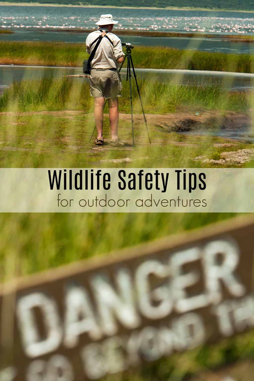 Wildlife Safety Tips for Outdoor Family Vacations - Turning the Clock Back