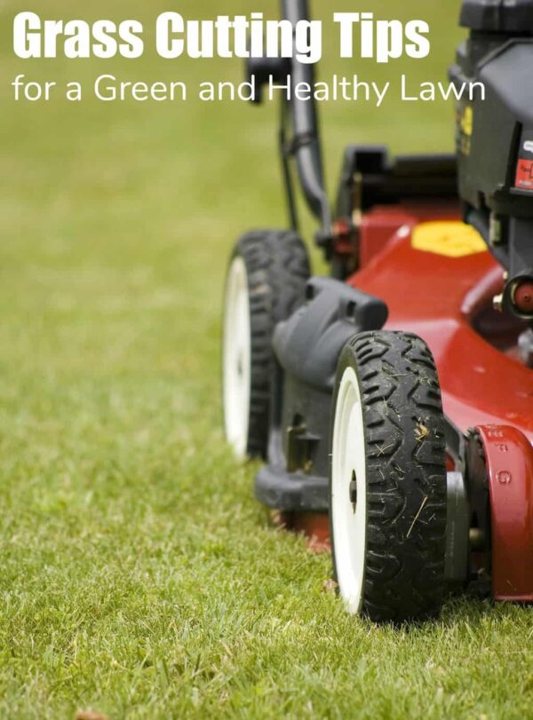 Grass Cutting Tips for a Green and Healthy Lawn - Turning the Clock Back
