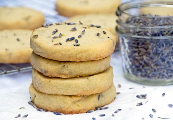 Lavender Shortbread Cookie Recipe - Turning the Clock Back