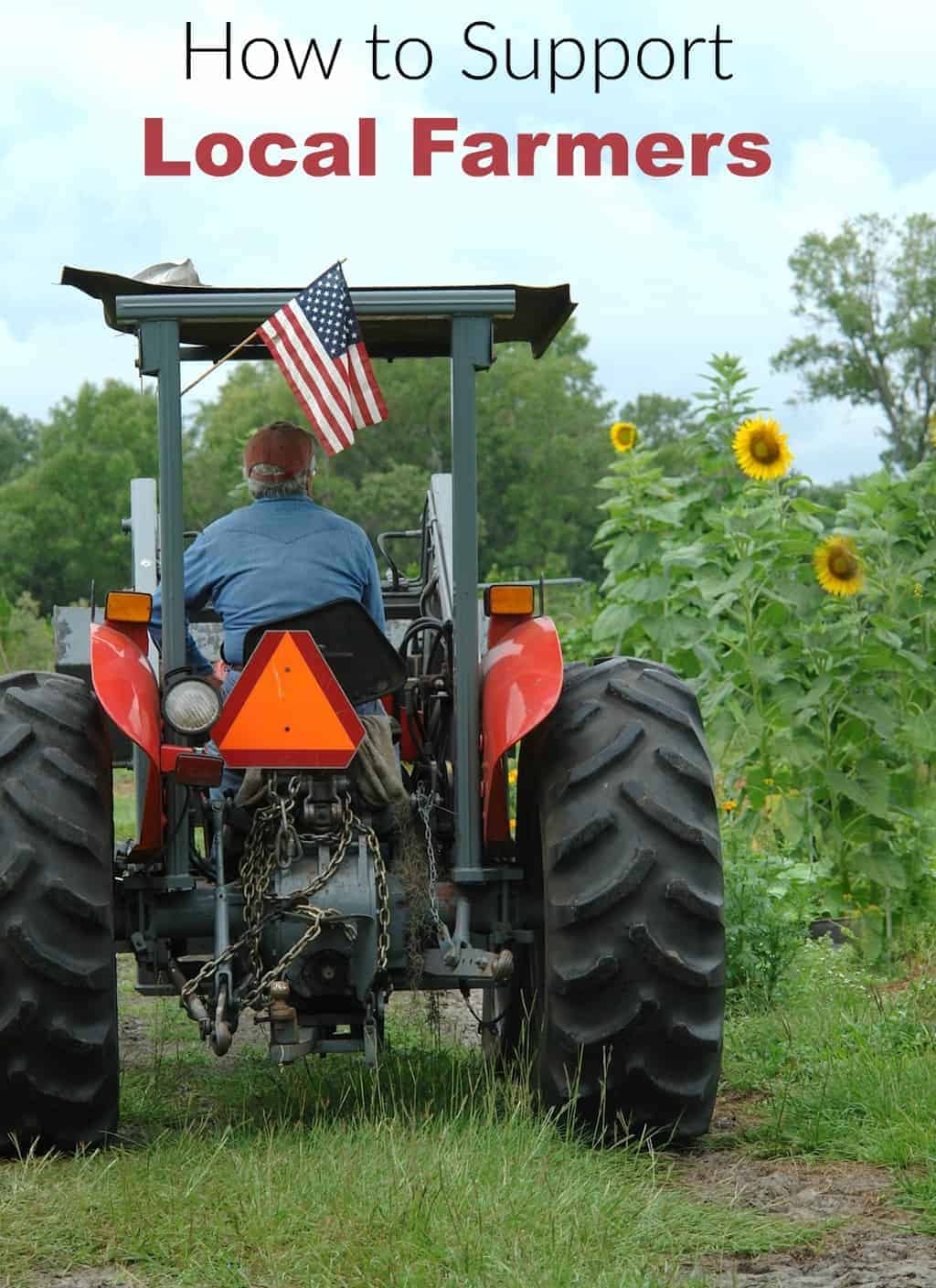 How to Support Local Farmers and My Georgia Agritourism Experience