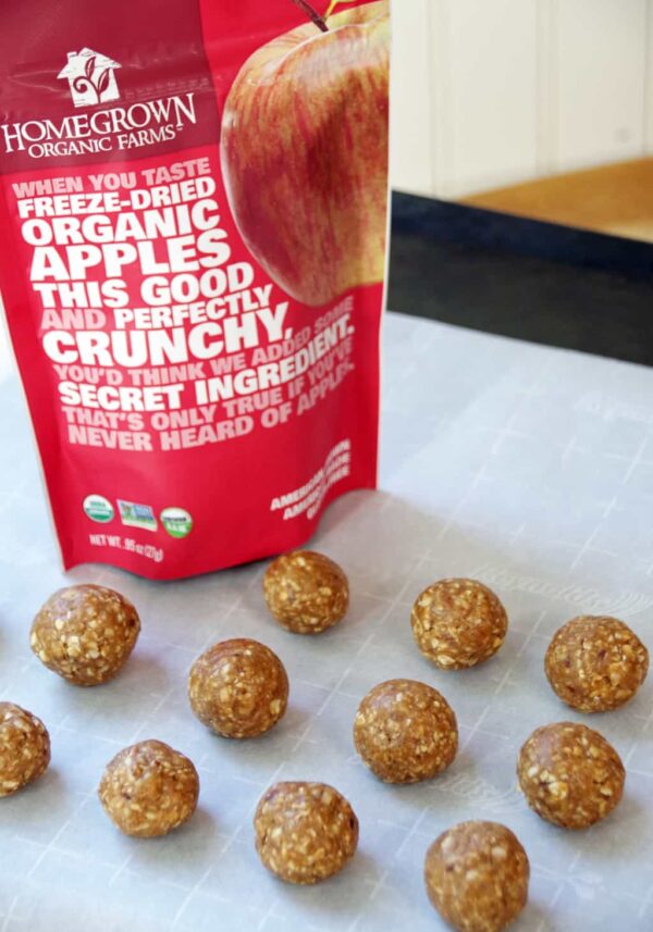 Cinnamon Apple Energy Bites Recipe - Turning the Clock Bac