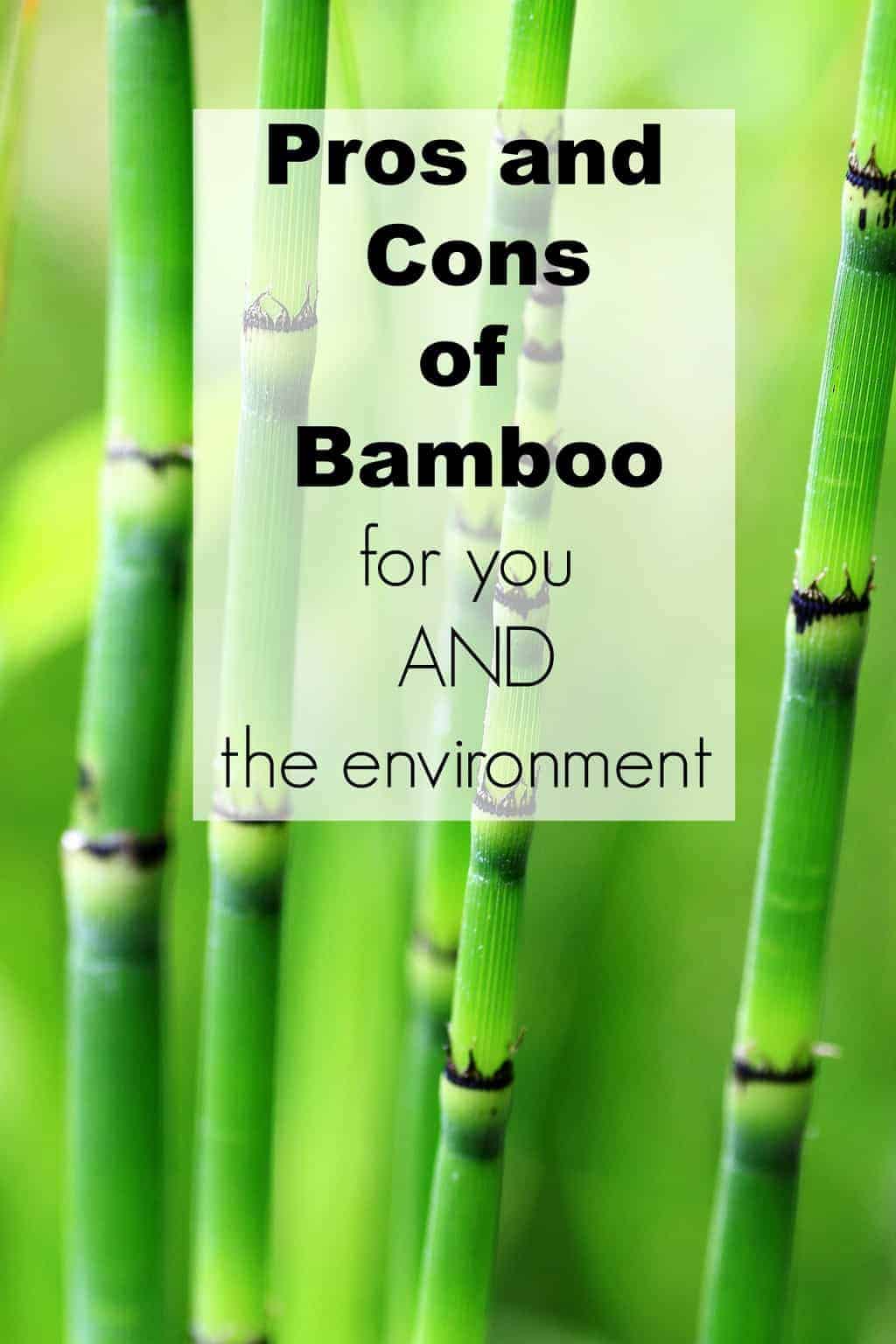 Pros and Cons of Bamboo - Turning the Clock Back