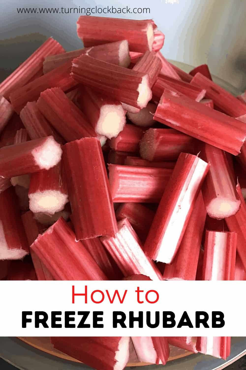 How to Freeze Rhubarb Easy Rhubarb Recipes - Turning the Clock Back