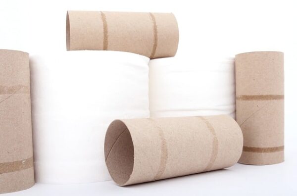 Toilet Paper Roll Fire Starters - Turning the Clock Back