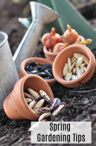 Preparing Your Spring Garden - Turning the Clock Back