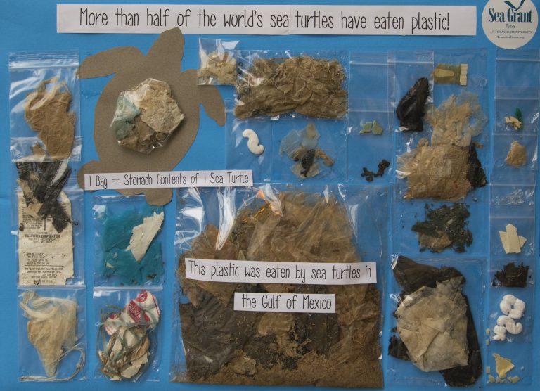 How to Reduce Plastic Usage - Turning the Clock Back