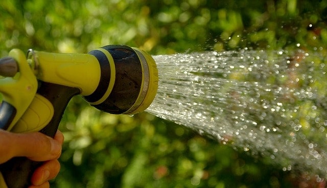 Ways To Reduce Your Outdoor Water Usage - Turning the Clock Back