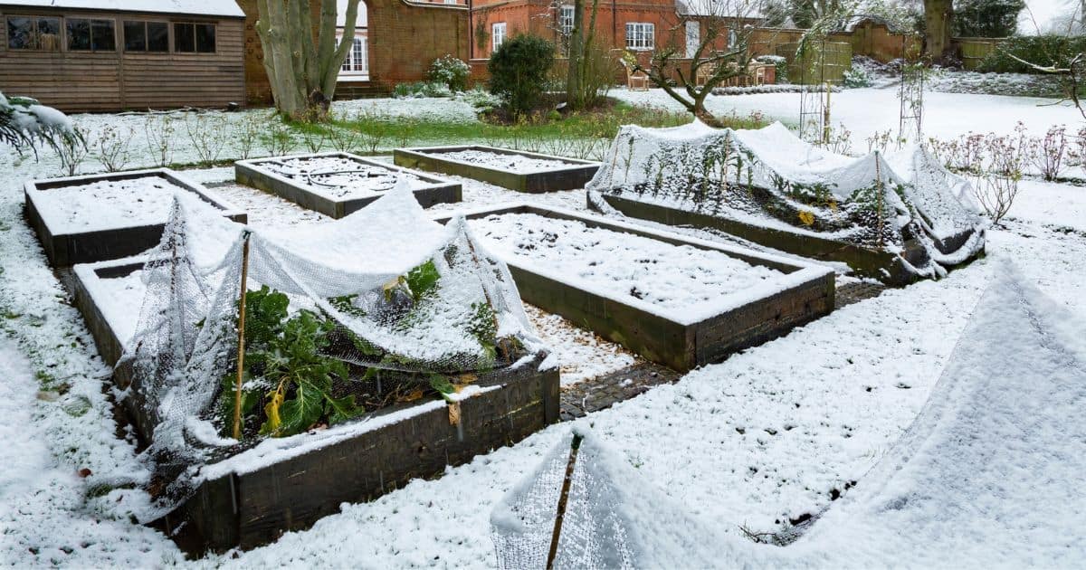 How To Improve Soil Health Over The Winter