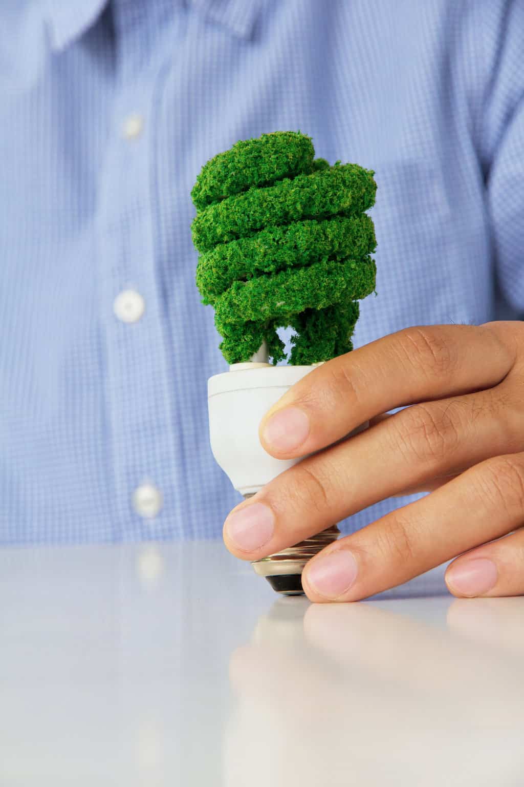 Sustainable Life Hacks That Save You Money