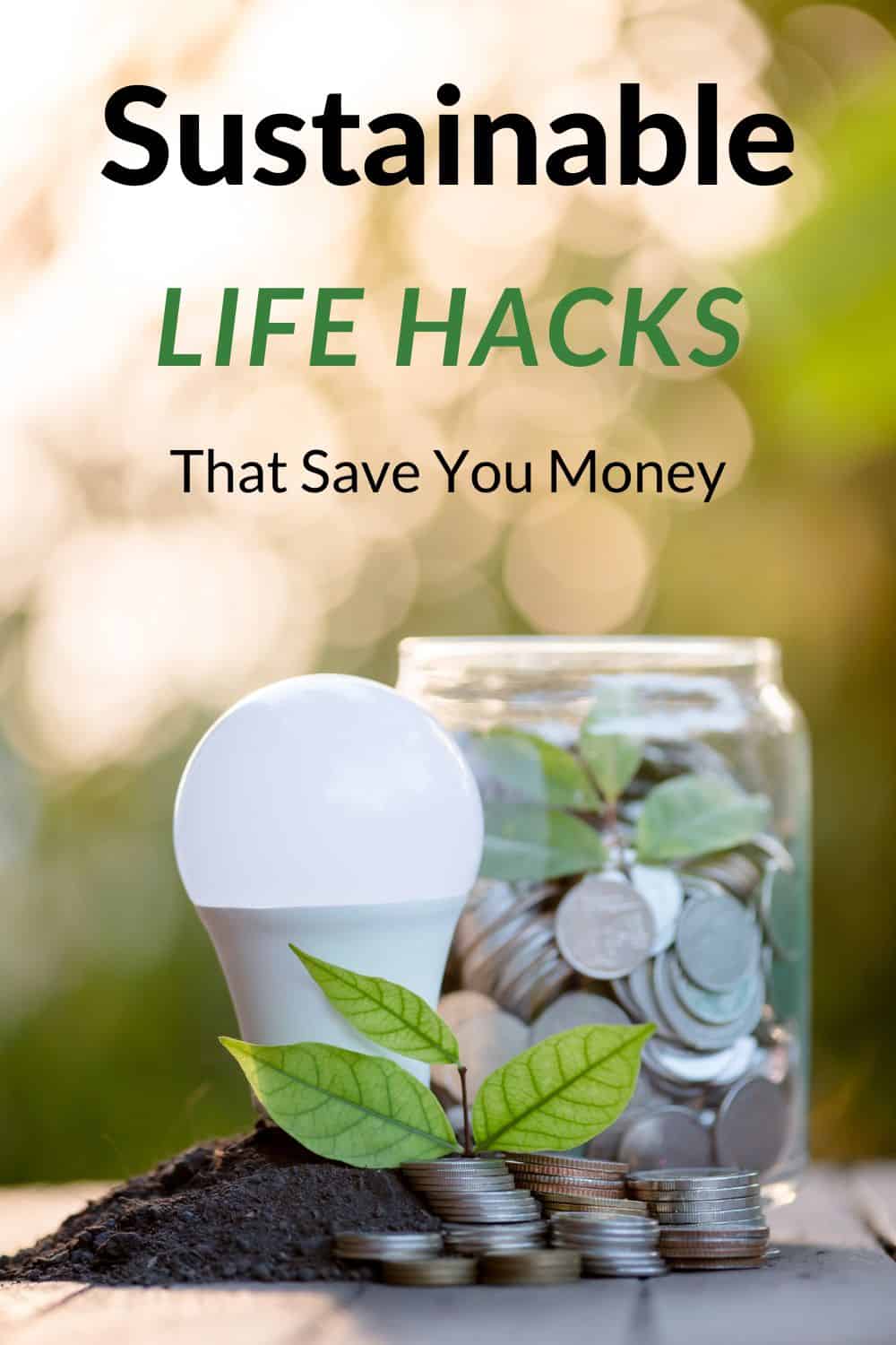 Sustainable Life Hacks That Save You Money