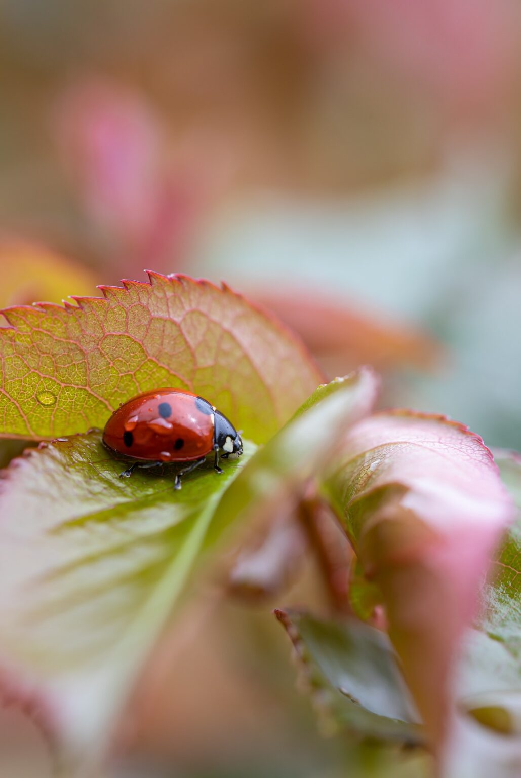 Lessons From The Garden :10 Things You Learn Playing in the Dirt