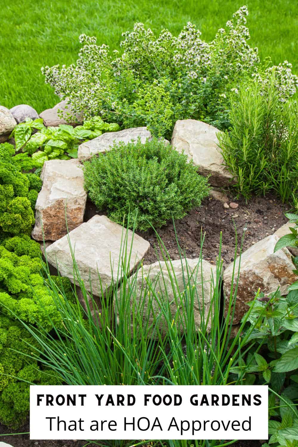 HOAs and the Battle Over Front Yard Food Gardens