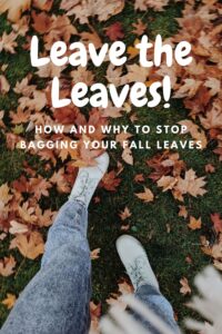 Why You Should Not Bag Your Leaves This Fall