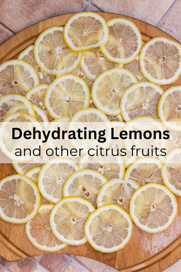 Dehydrating Lemons - Turning the Clock Back